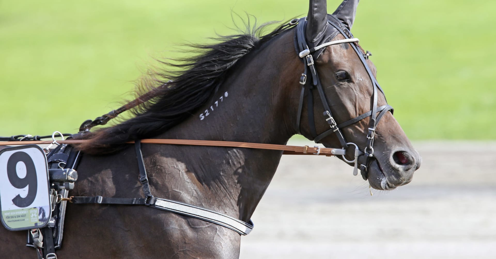 Åke Svanstedt och Anette Lorentzon bakom femling · Senaste nyheterna om ...