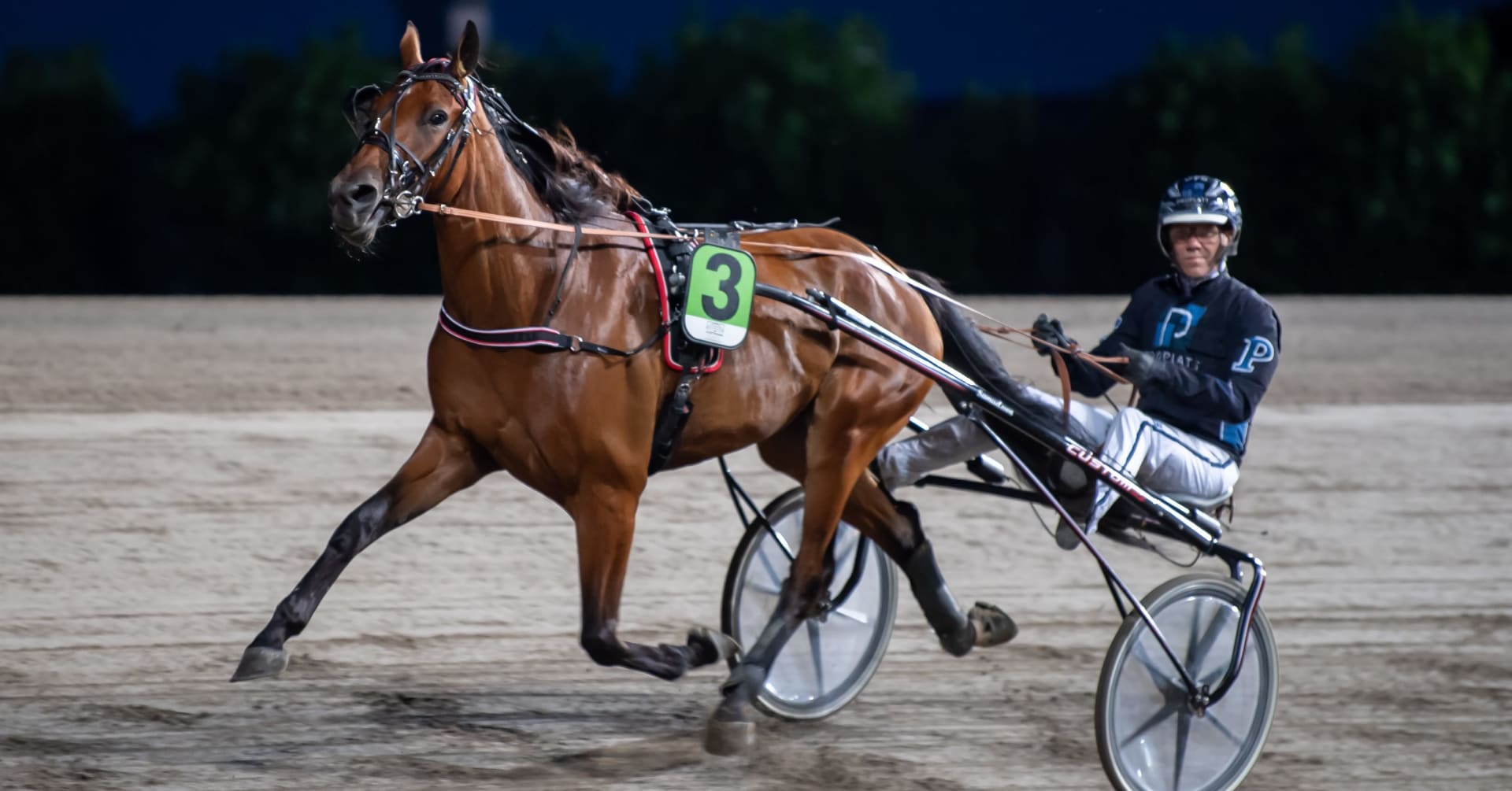 Ola Samuelsson om Judge D. inför STL på Halmstad · Senaste nyheterna om ...