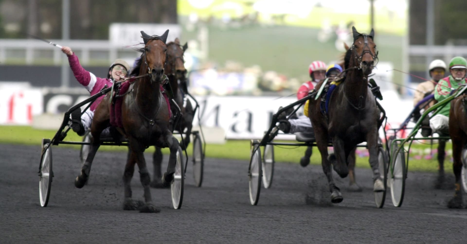 Avelshingsten Korean är död · Senaste nyheterna om trav · Travronden
