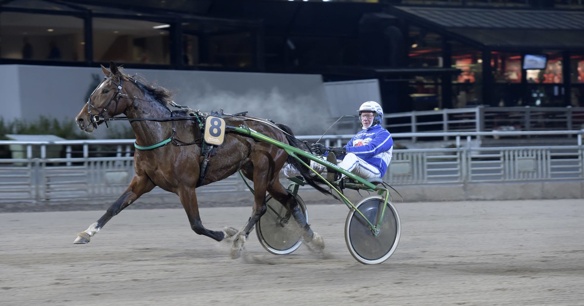 Full pott för Sybille Tinter · Senaste nyheterna om trav · Travronden