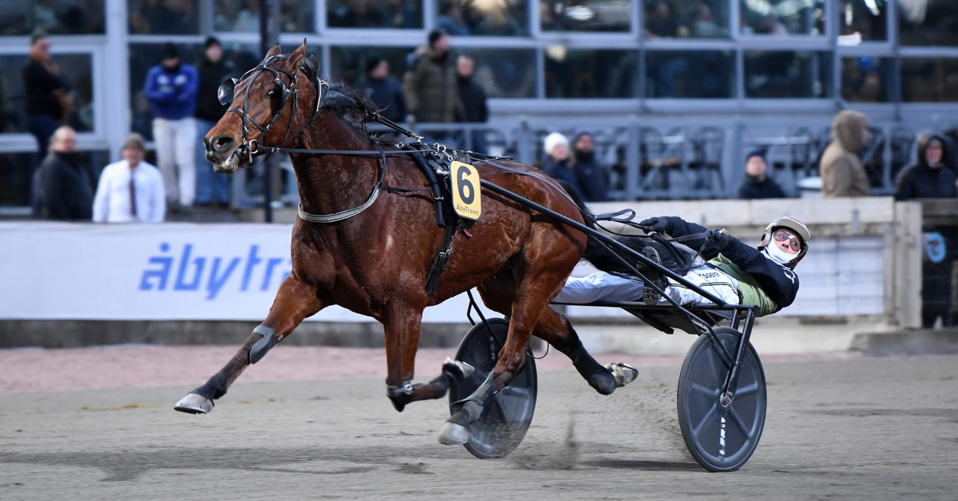 Helena Edlund om V75-favoriten Beartime · Senaste nyheterna om trav ...