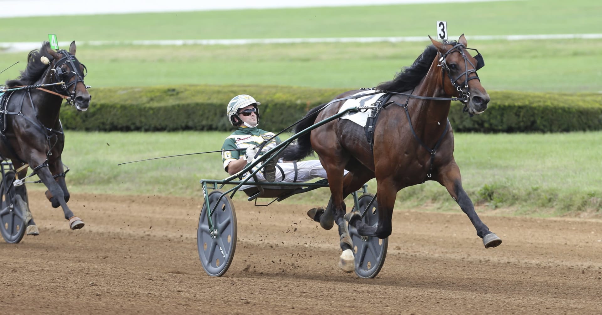 Avelshingsten Southwind Frank kan göra tävlingscomeback · Senaste ...