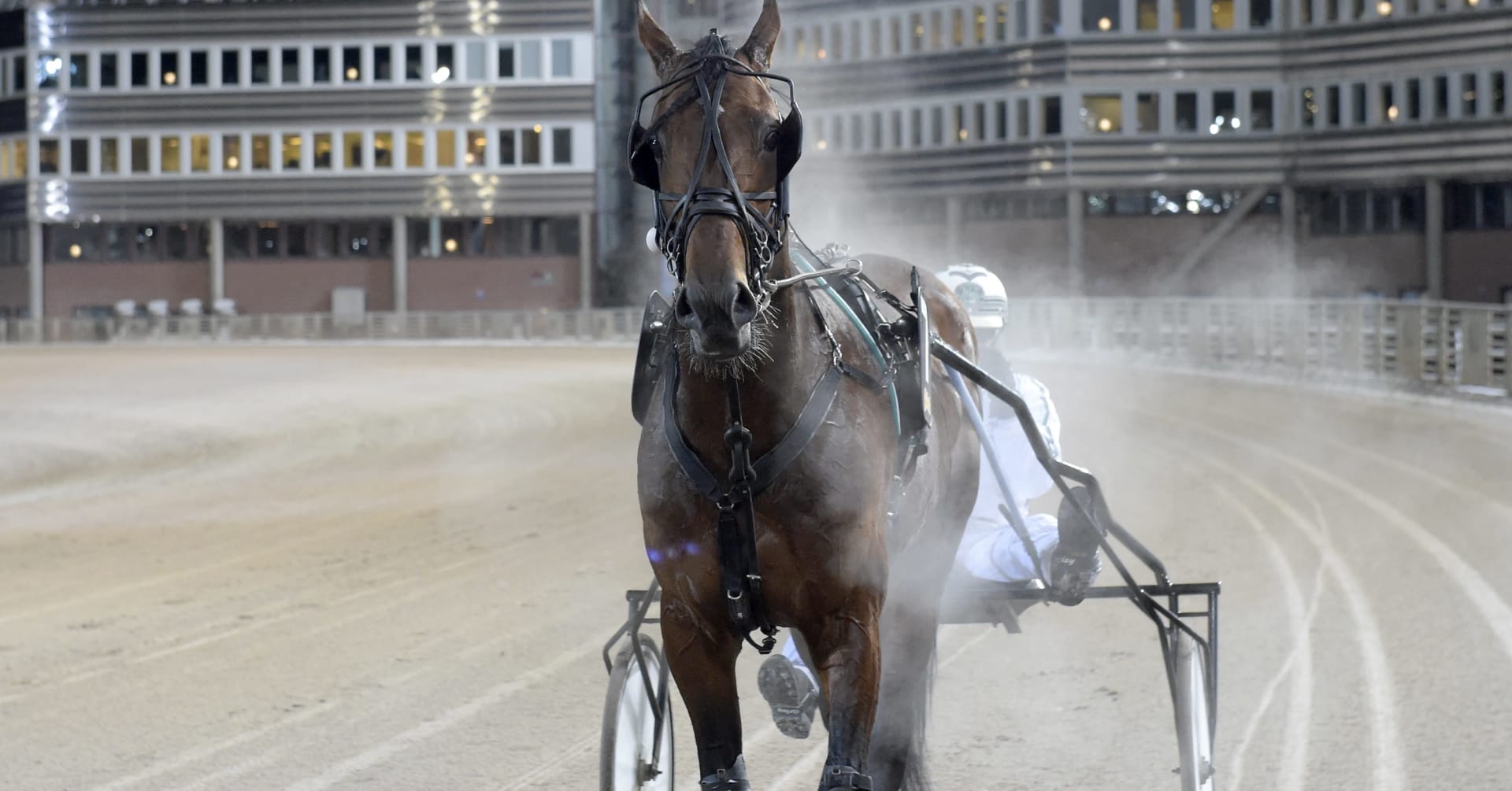 Emoji vann Danskt Mästerskap · Senaste nyheterna om trav · Travronden