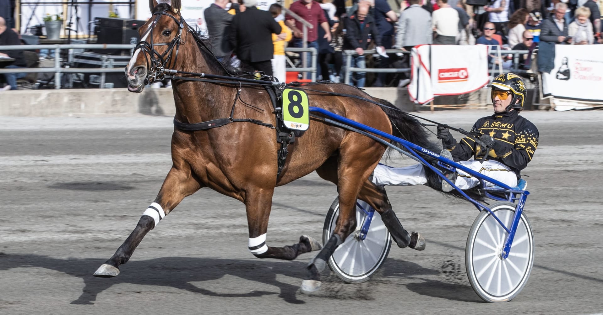 Rygh innleder med banker