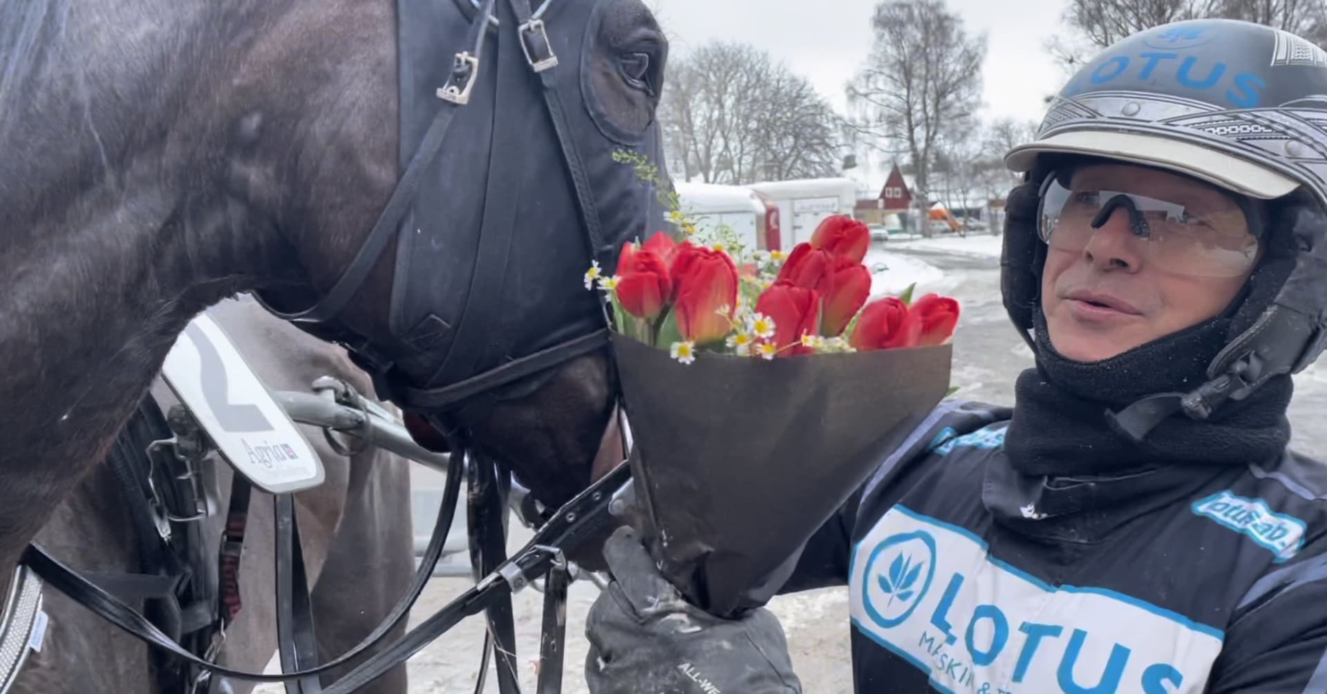 Robert Bergh tog sin 4000:e kuskseger · Senaste nyheterna om trav · Travronden