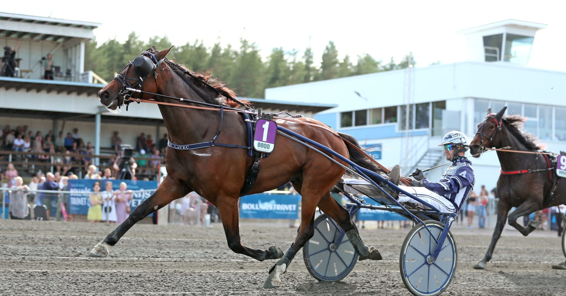 Startlista Steinlagers Äreslopp 2023 · Senaste nyheterna om trav ...