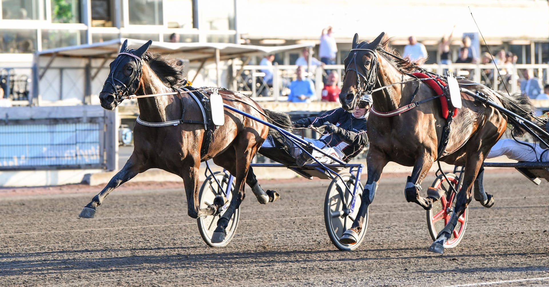 Lavender bäst i Quick Pay Pokalen · Senaste nyheterna om trav · Travronden