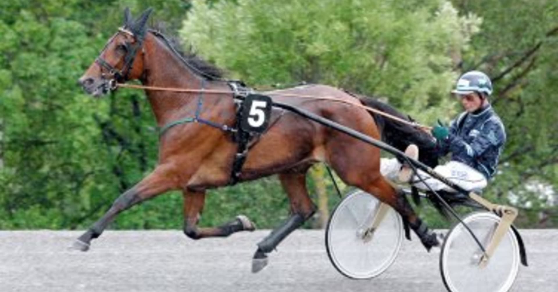 Vem får köra Victory Tilly? · Senaste nyheterna om trav · Travronden