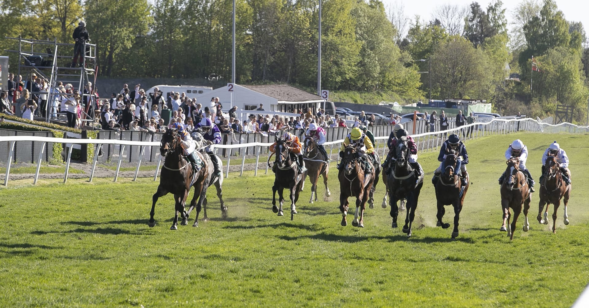 Historiens første V75 på Øvrevoll