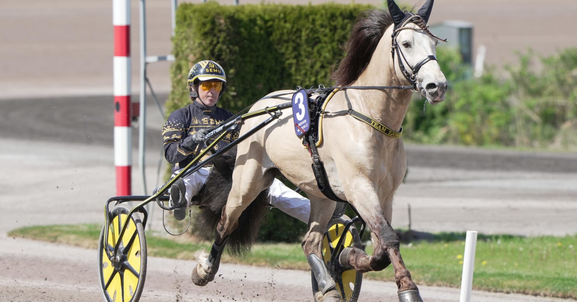 De tidlige V75 tanker! - Alt om V75