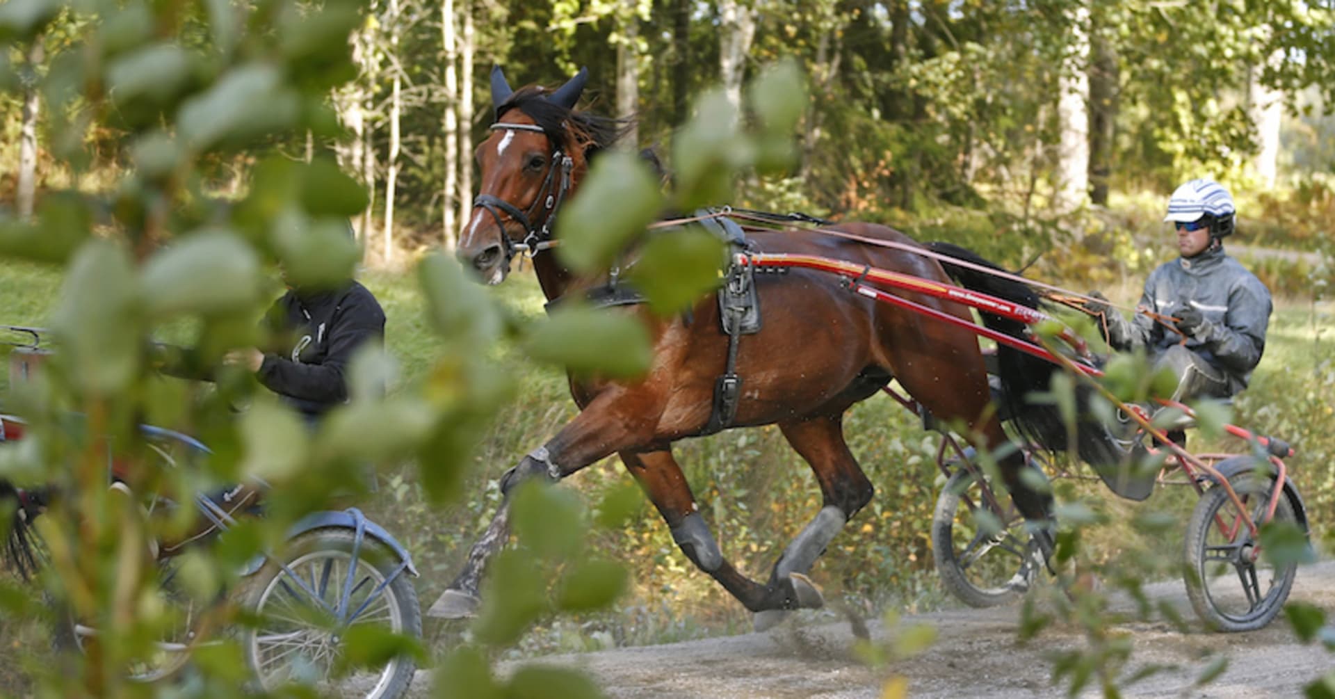 Lövdal byter arbetsplats: "Hoppas jag kan bidra" · Senaste nyheterna om trav · Travronden