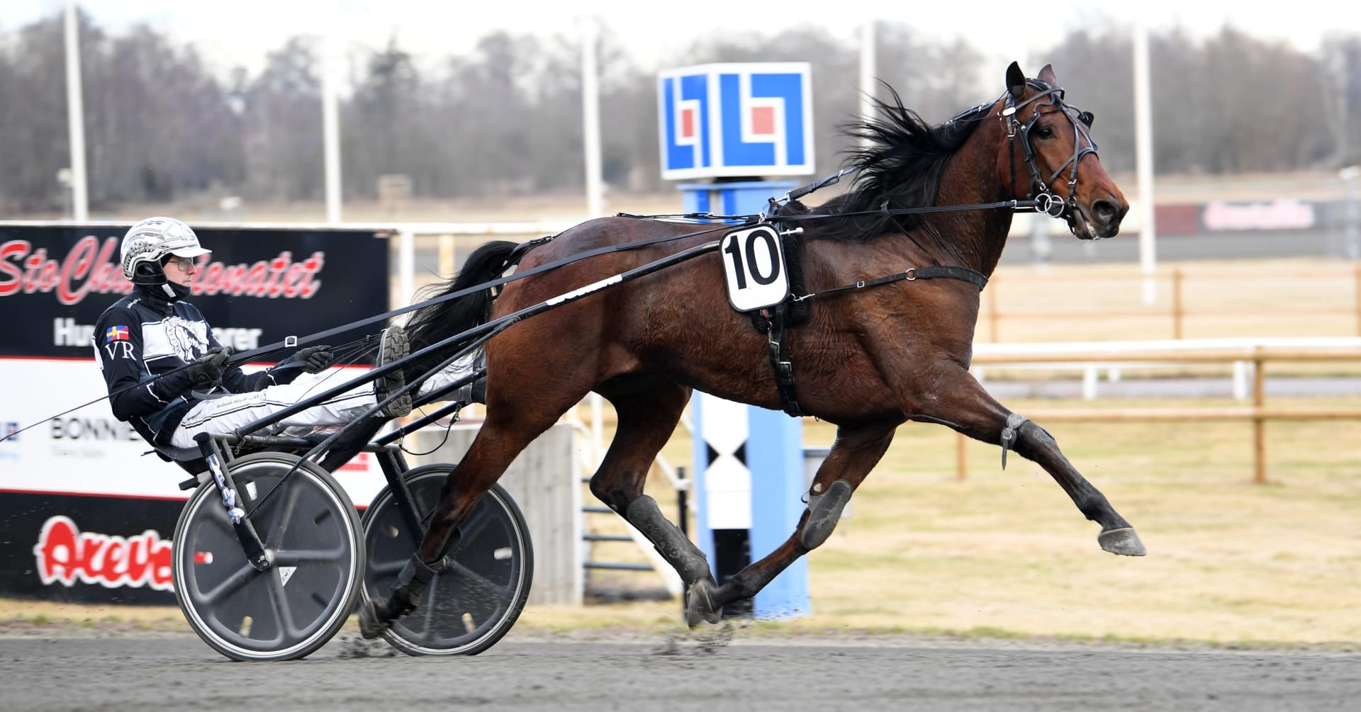 Veckans trav | "Toppsport och spelvänligt!" · Spelvärde
