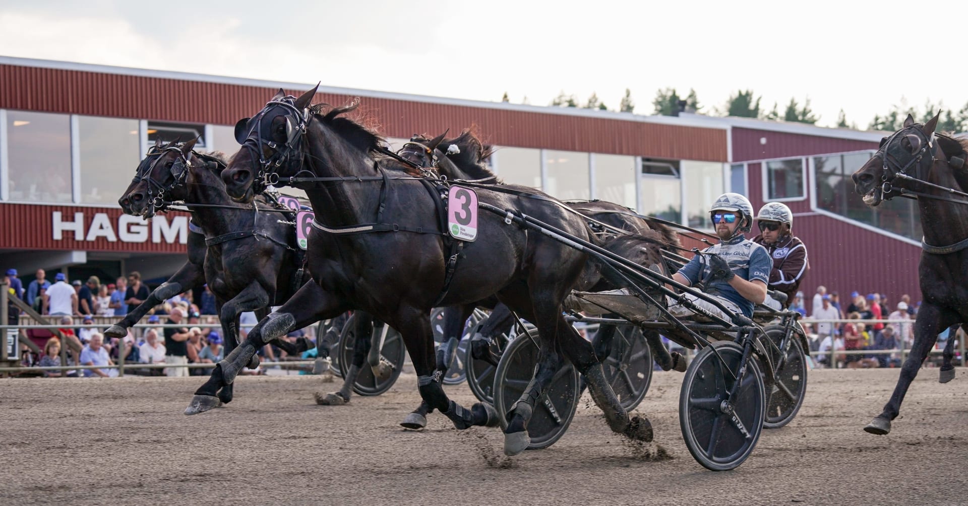 Point of Perfect till Flemming Jensen · Senaste nyheterna om trav ...