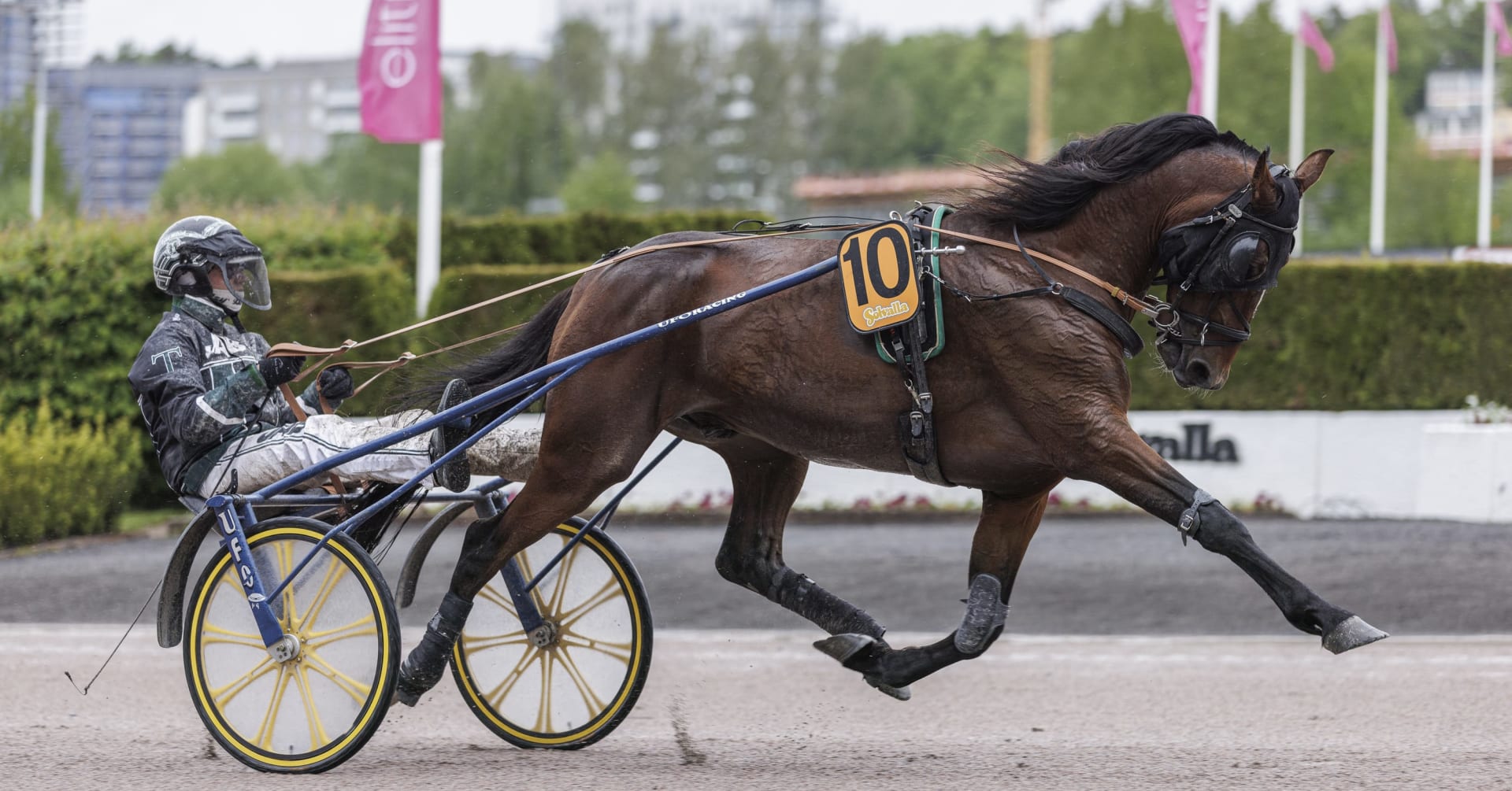 Galantis vann i debuten på Vincennes · Senaste nyheterna om trav ...