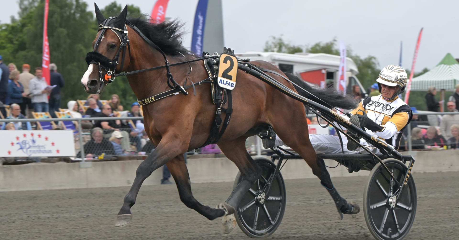 Wise Guy gör resan till Solvalla · Senaste nyheterna om trav · Travronden