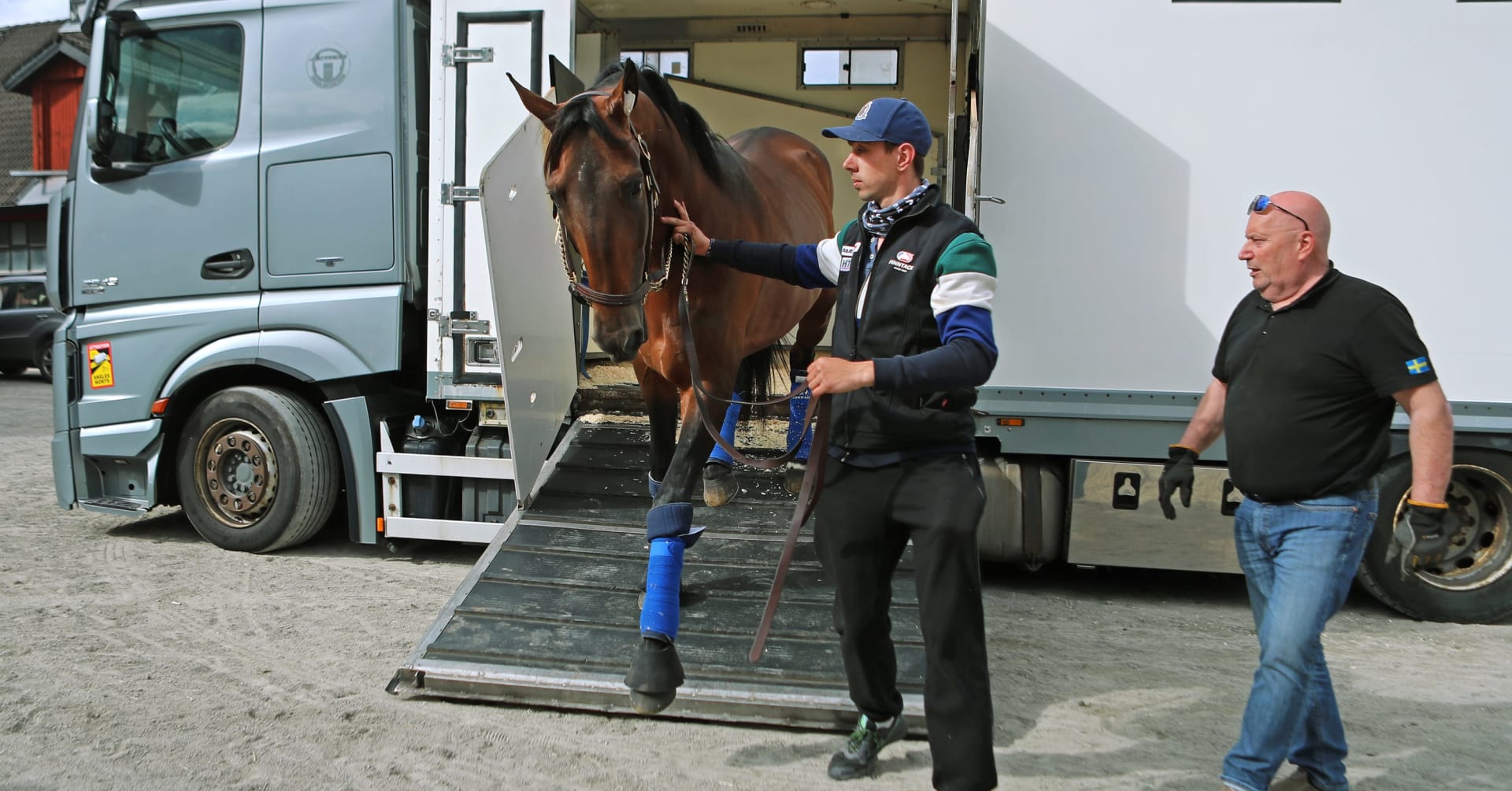 Etonnant och Gooner till Kymi Grand Prix · Senaste nyheterna om trav ...