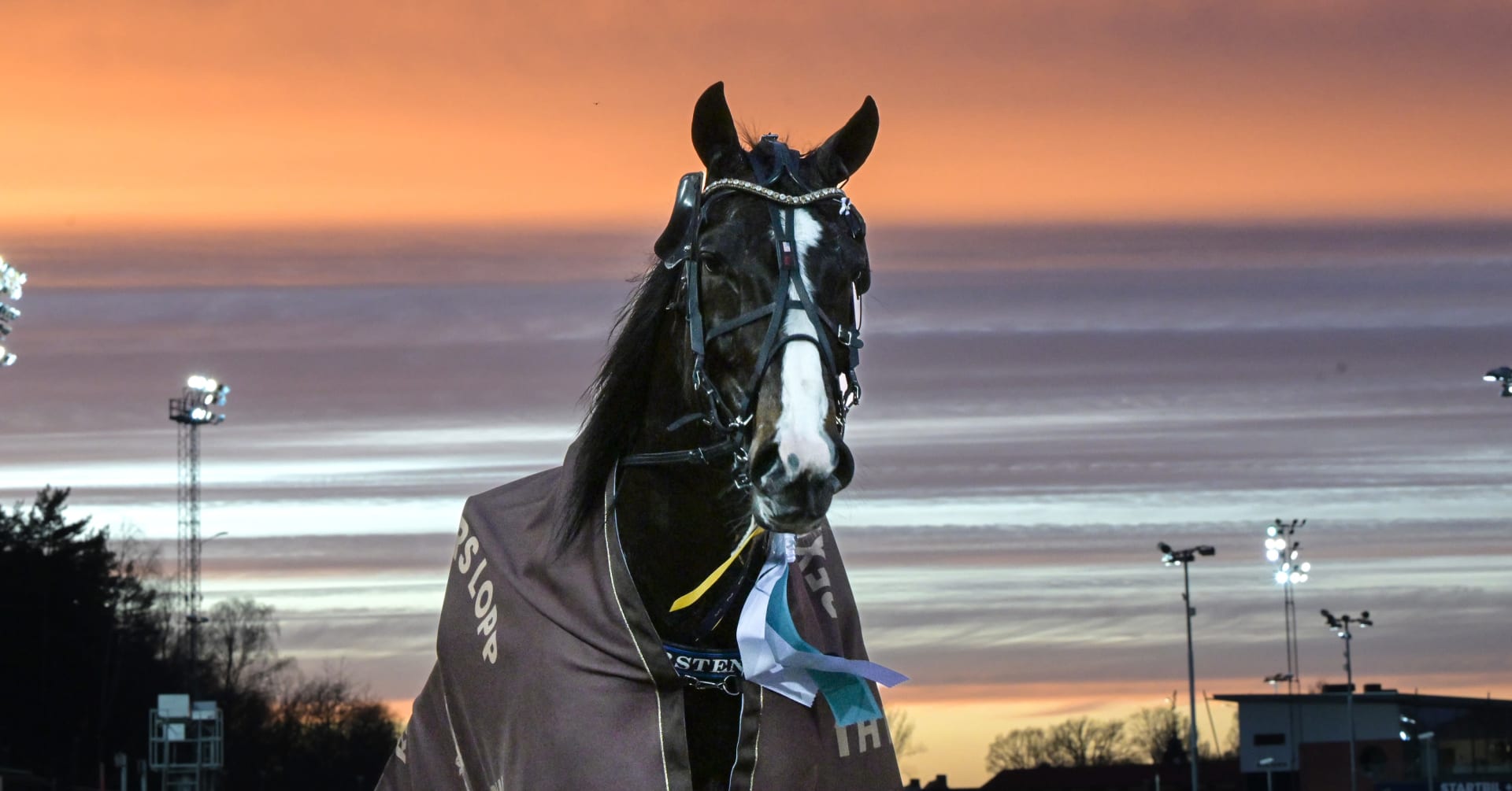 Mats E Djuse kör Mellby Jinx i Elitloppet 2025 · Senaste nyheterna om trav · Travronden