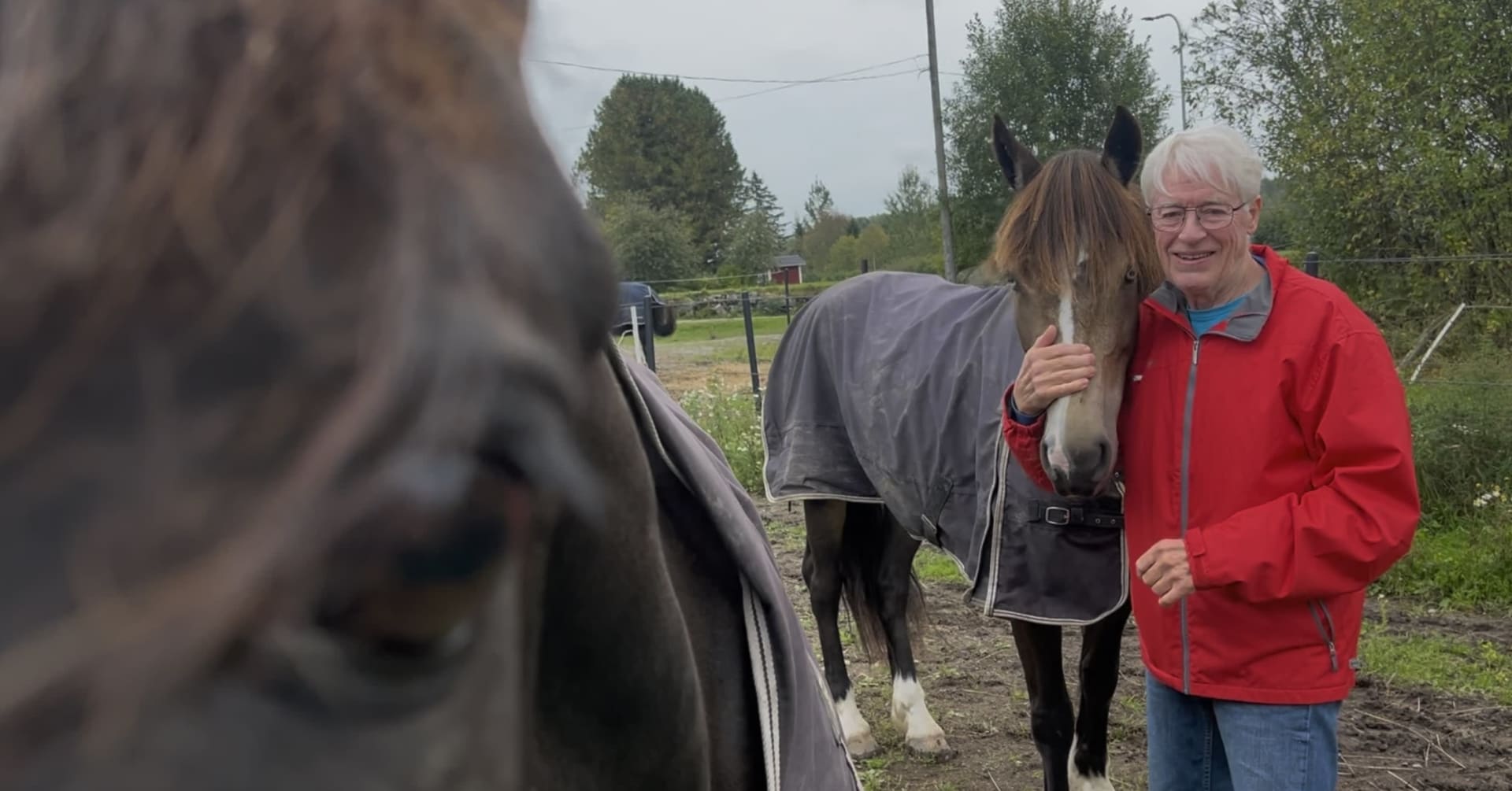 Leif Jonsson om SM-drömmen: "Skulle vara kul att slå Majblomster" · Senaste nyheterna om trav ...