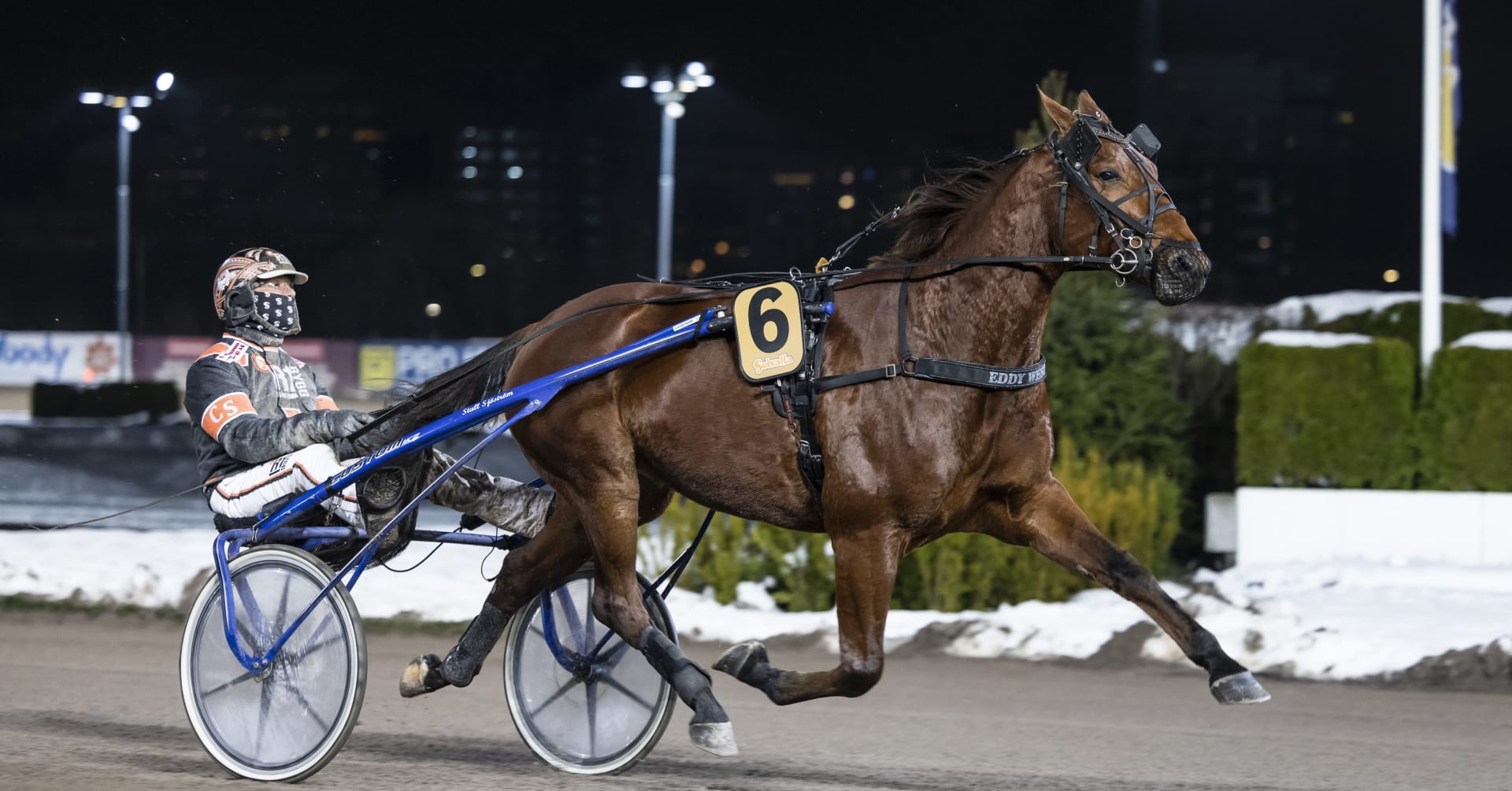 Claes Sjöström kommer med form och fyra hästar · Senaste nyheterna om ...