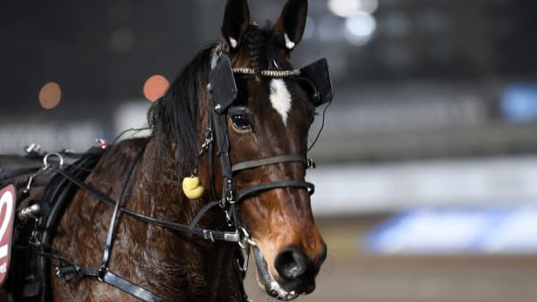 Fawaz Mil vann på Vincennes · Senaste nyheterna om trav · Travronden