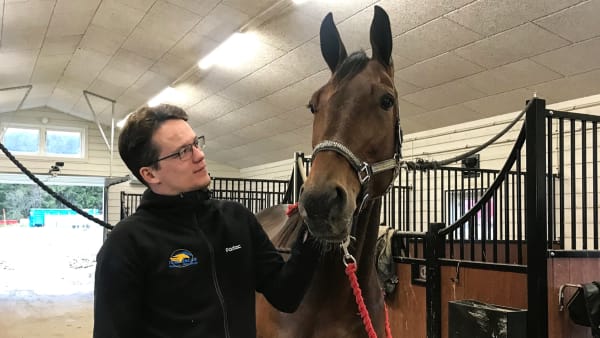 Pleasure For Cash är tillbaka · Senaste nyheterna om trav · Travronden