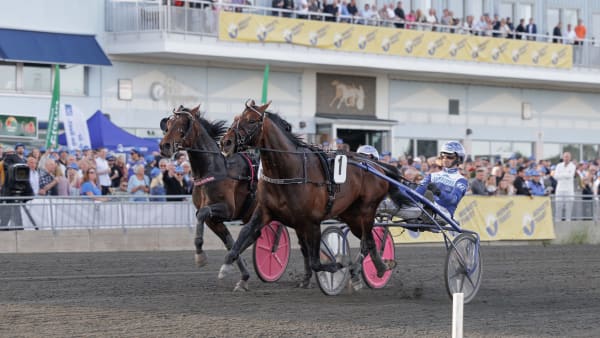 Golden Kronos vann V85-inledningen på Boden · Senaste nyheterna om trav ...
