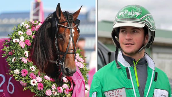 Alf tog karriärens första seger · Senaste nyheterna om trav · Travronden