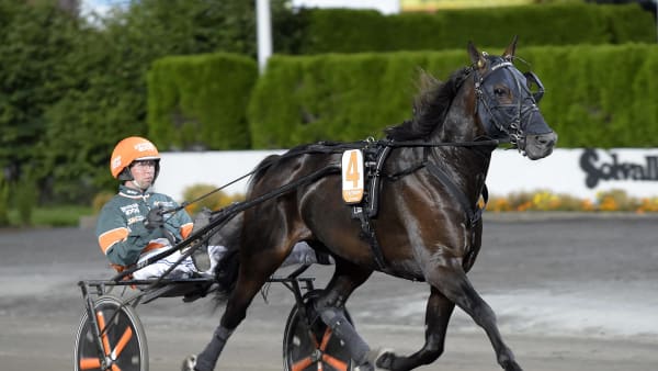Marcus Lindgren · Senaste nyheterna om trav · Travronden