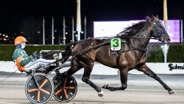 Marcus Lindgren · Senaste nyheterna om trav · Travronden