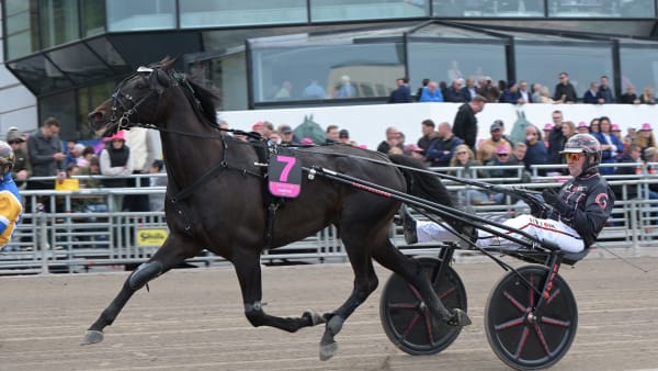 Charron till Paralympiatravet · Senaste nyheterna om trav · Travronden