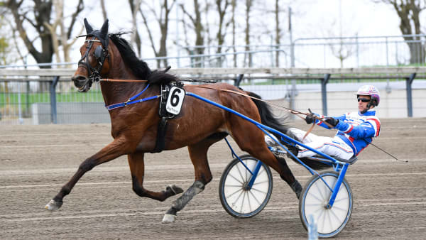 Zuccezz Zack tillbaka efter skadan – startar i V85 på hemmaplan ...