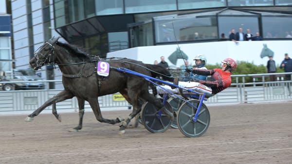Halina S.H. till Conrad Lugauer · Senaste nyheterna om trav · Travronden