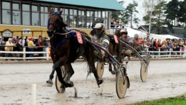 Wiman har det förspänt · Senaste nyheterna om trav · Travronden