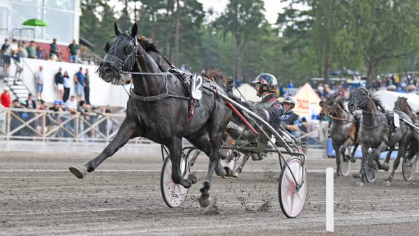 Alla vinnare på V75 Årjäng · Senaste nyheterna om trav · Travronden