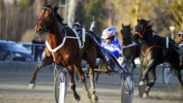 Sjöström och Wiman hade show · Senaste nyheterna om trav · Travronden
