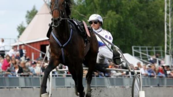 Adrian till Norge · Senaste nyheterna om trav · Travronden