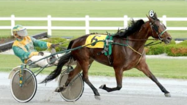 Blågul seger i Kanada · Senaste nyheterna om trav · Travronden