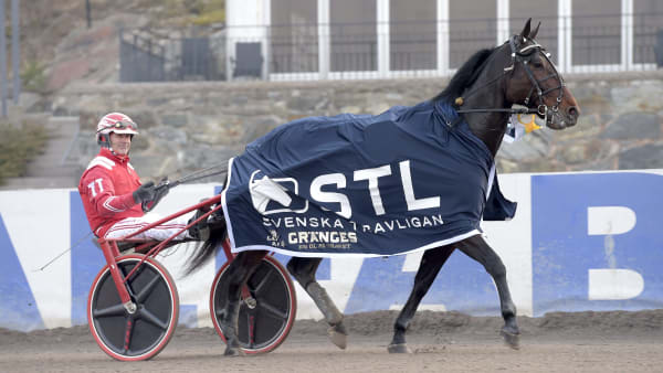 Ola Samuelsson inför GS75 på Kalmar · Senaste nyheterna om trav ...